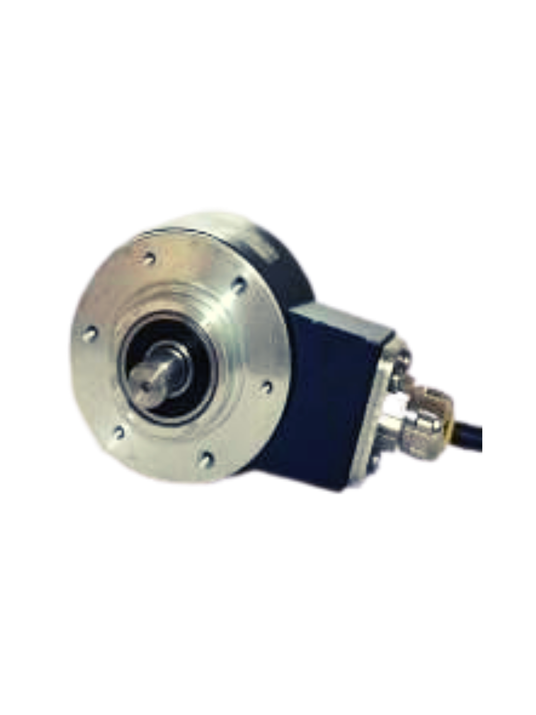 Encoder – Endurance Solutions